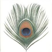 XTC Rare Vinyl Records, LPs, vinyl albums, 7" & 12" singles, CD, CD singles - Image Gallery Page ...