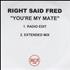 Right Said Fred Bumped UK CD single (CD5 / 5") (101799)