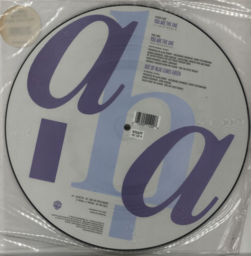 A-Ha You Are The One UK 12" vinyl picture disc (12 inch picture record ...