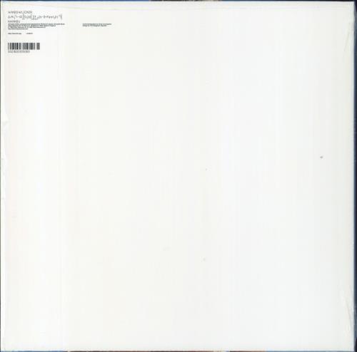 Aphex Twin Windowlicker UK 12" vinyl single (12 inch record / Maxi ...