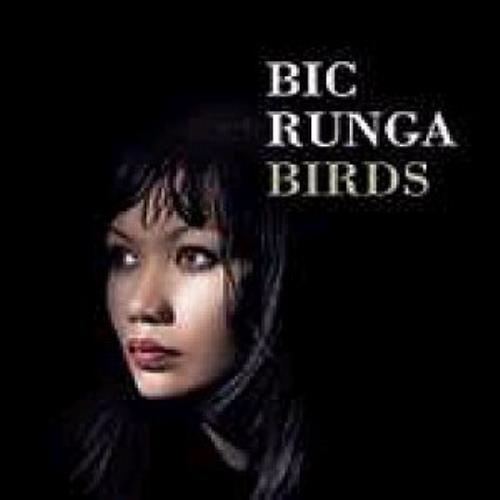 Bic Runga Birds Australian CD album (CDLP) (350875)