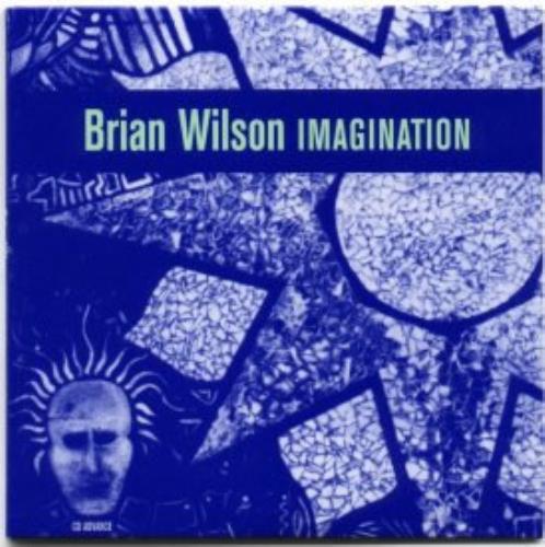 Brian Wilson Imagination US Promo CD album (CDLP) (113119)