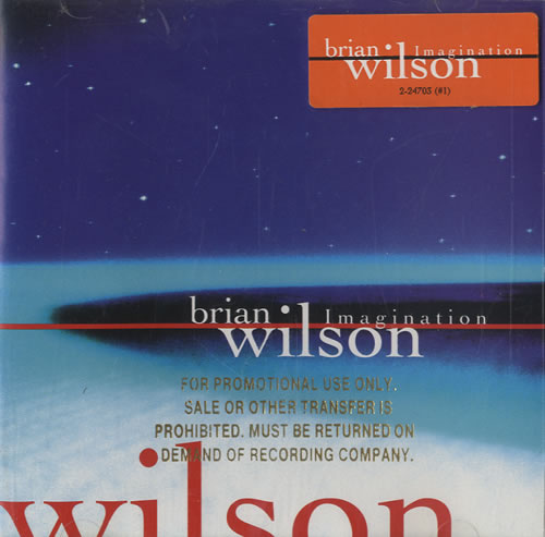 Brian Wilson Imagination US Promo CD album (CDLP) (489427)