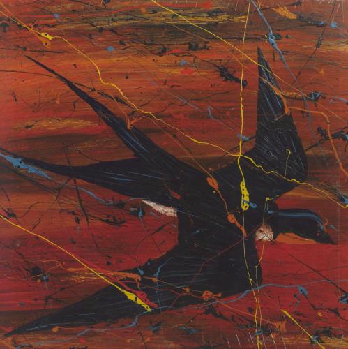 Charlie Parr Barnswallow US vinyl LP album (LP record) (830438)