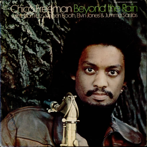 Chico Freeman Beyond The Rain US vinyl LP album (LP record) (532694)