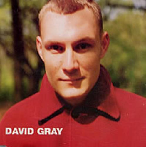David Gray Wisdom UK CD single (CD5 / 5") (170098)