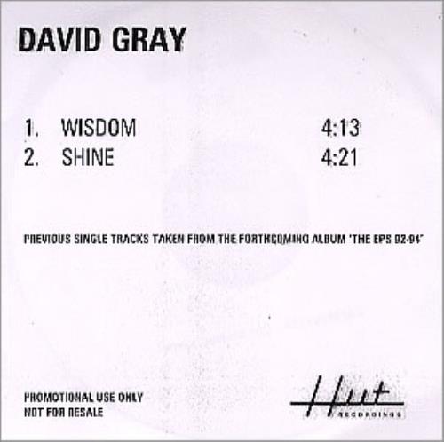 David Gray Wisdom UK Promo CD-R acetate (189579)