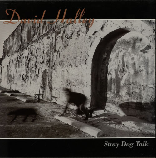 David Halley Stray Dog Talk UK vinyl LP album (LP record) (598659)