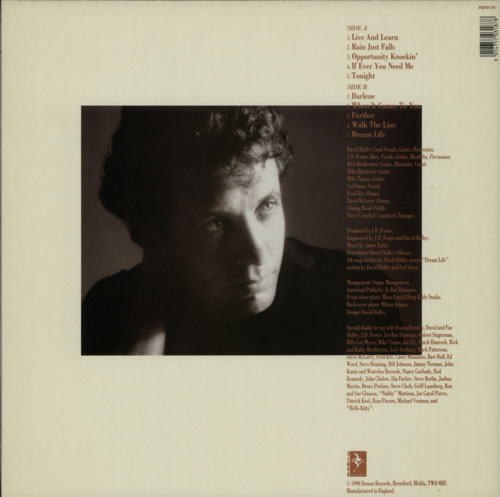 David Halley Stray Dog Talk UK vinyl LP album (LP record) (598659)