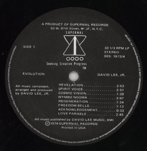 David Lee Jr. Evolution UK vinyl LP album (LP record) (853677)