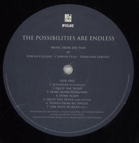 Edwyn Collins The Possibilities Are Endless UK vinyl LP album (LP ...