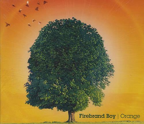 Firebrand Boy Orange UK CD single (CD5 / 5") (382813)