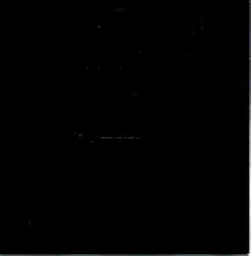 Garbage Subhuman - Card Sleeve UK 7" vinyl single (7 inch record / 45 ...