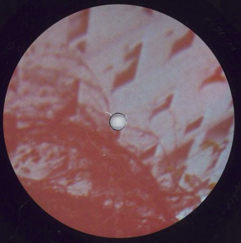 Hisato Higuchi Henzai US vinyl LP album (LP record) (828351)