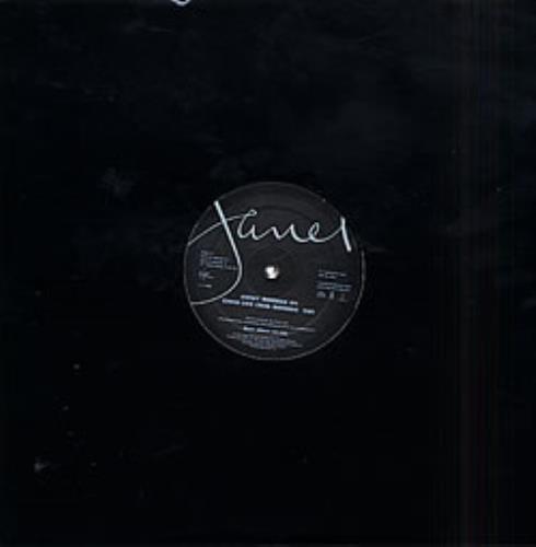 Janet Jackson Janet Megamix 04 UK Promo 12" vinyl single (12 inch ...