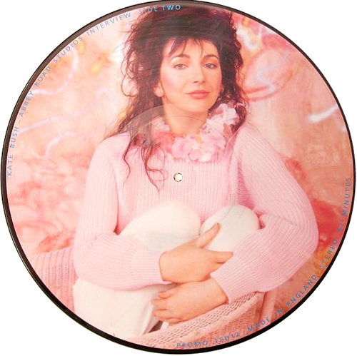 Kate Bush Abbey Road Studios Interview UK picture disc LP (vinyl ...