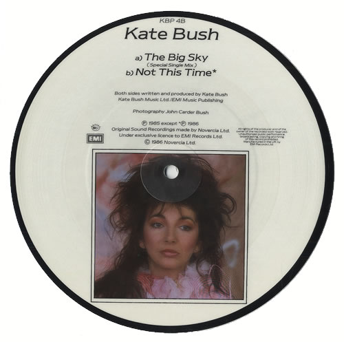 Kate Bush The Big Sky UK 7" vinyl picture disc (7 inch picture disc ...