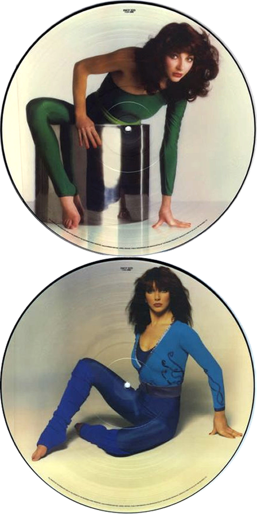 Kate Bush The Kick Inside - 2nd - Oval Stickered - EX UK picture disc ...