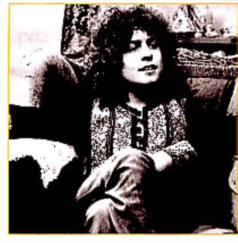 Marc Bolan Home Recordings Fanclub CD UK Promo CD-R acetate (260935)