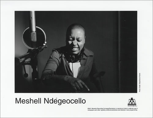 Me'Shell Ndegeocello Cookie The Anthropological Mixtape US Promo media ...