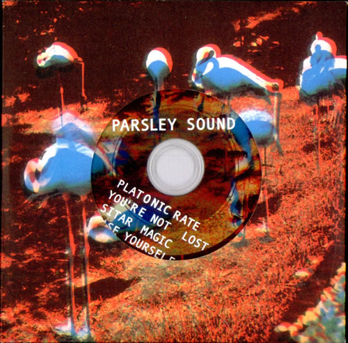 Parsley Sound Platonic Rate UK CD single (CD5 / 5") (511519)