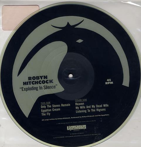 Robyn Hitchcock Exploding In Silence UK picture disc LP (vinyl picture ...