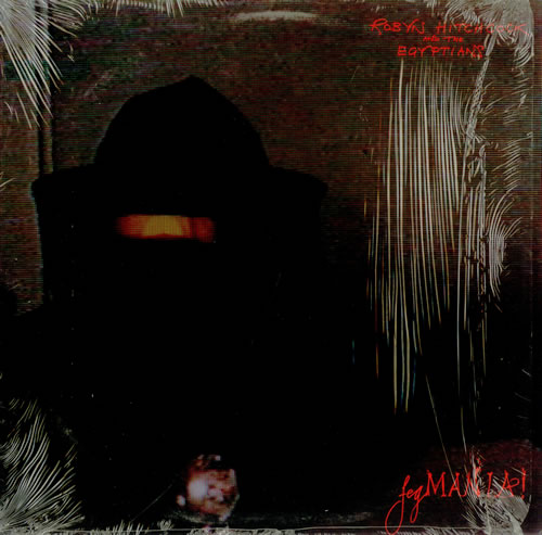 Robyn Hitchcock Fegmania! US vinyl LP album (LP record) (455270)