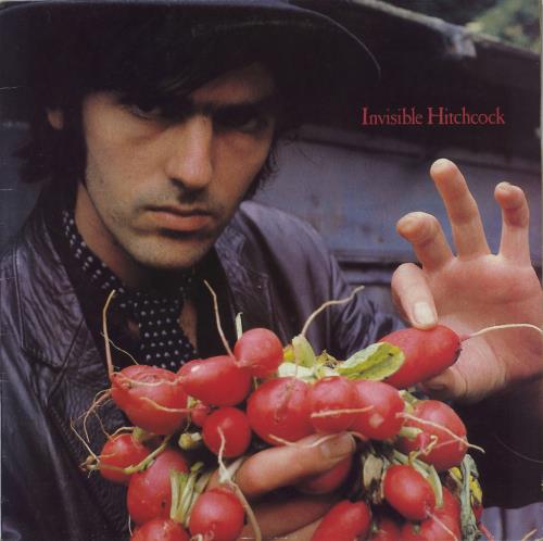 Robyn Hitchcock Invisible Hitchcock UK vinyl LP album (LP record) (342638)
