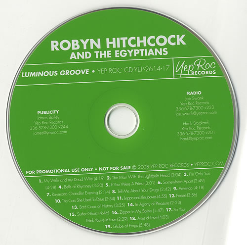 Robyn Hitchcock Luminous Groove Sampler US Promo CD album (CDLP) (448924)