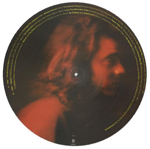 Roky Erickson The Psychedelic Banjoman Dutch picture disc LP (vinyl ...