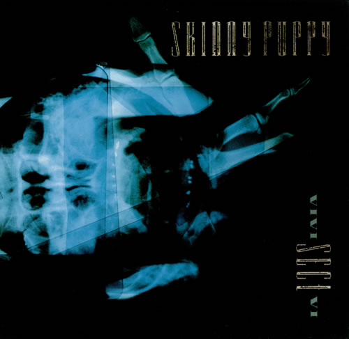 Skinny Puppy VIVIsectVI Dutch vinyl LP album (LP record) (440595)