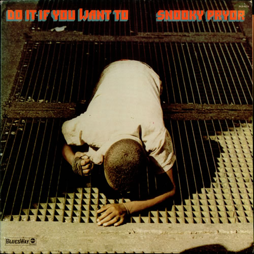 Snooky Pryor Do It If You Want To US vinyl LP album (LP record) (528565)