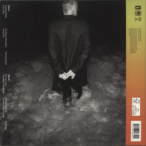 Sting The Bridge - Black Vinyl UK vinyl LP album (LP record) (786003)