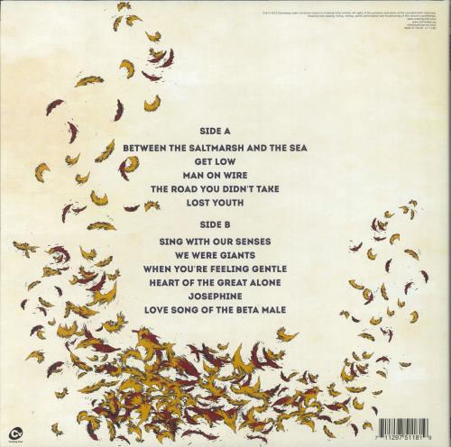 Stornoway Bonxie UK vinyl LP album (LP record) (794804)