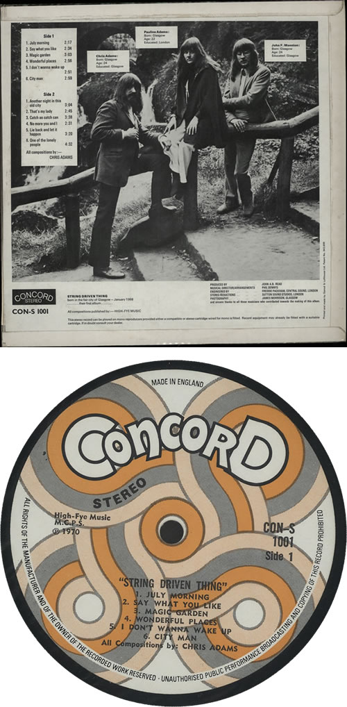 String Driven Thing String Driven Thing UK vinyl LP album (LP record) (642872)