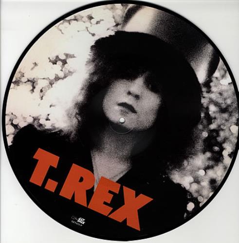 T-Rex / Tyrannosaurus Rex The Slider UK picture disc LP (vinyl picture disc album) (328465)