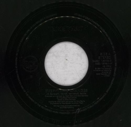 Take That Everything Changes UK 7" vinyl single (7 inch record / 45 ...