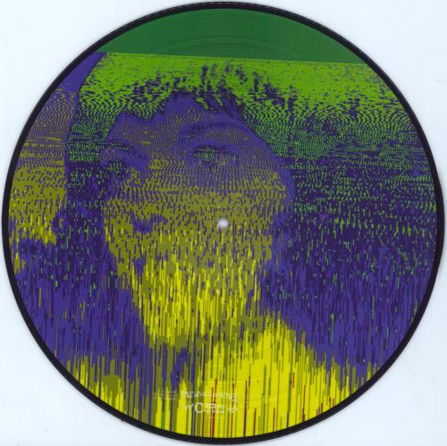 The Avalanches We Will Always Love You UK picture disc LP (vinyl ...