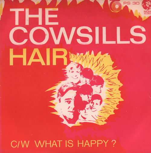 The Cowsills Hair South African 7" vinyl single (7 inch record / 45 ...