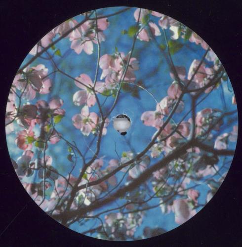 The Downer Trio Blackbird UK vinyl LP album (LP record) (837026)