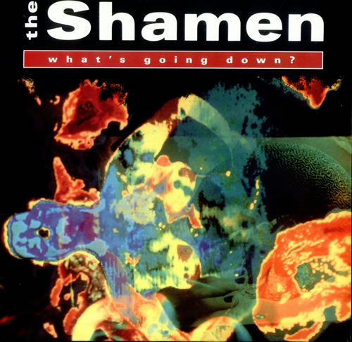 The Shamen What's Going Down? US 12" vinyl single (12 inch record ...