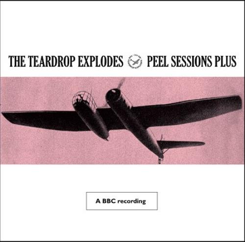 The Teardrop Explodes Peel Sessions Plus UK CD album (CDLP) (416033)