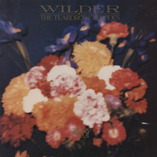 The Teardrop Explodes Wilder - EX UK vinyl LP album (LP record) (815860)