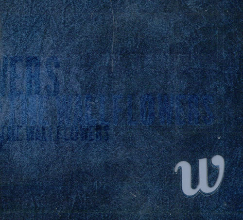 The Wallflowers Heroes US Promo CD single (CD5 / 5") (500033)