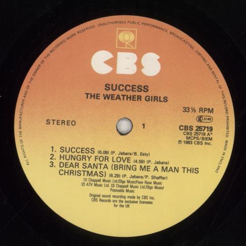 The Weather Girls Success UK vinyl LP album (LP record) (855164)