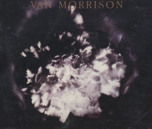 Van Morrison Enlightenment UK Promo CD single (CD5 / 5") (22297)