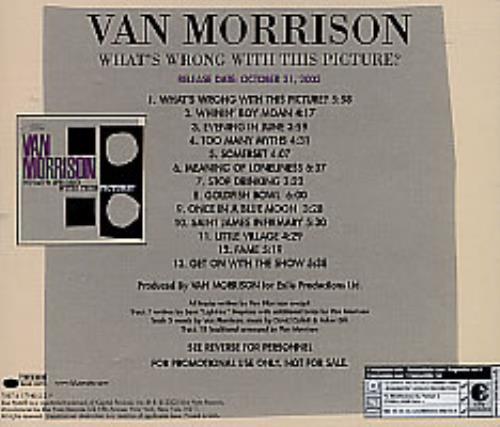 Van Morrison What's Wrong With This Picture? US Promo CD album (CDLP) (260623)