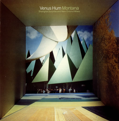 Venus Hum Montana UK 12" vinyl single (12 inch record / Maxi-single ...