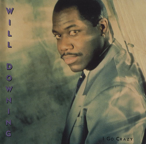 Will Downing I Go Crazy US Promo CD single (CD5 / 5") (486888)
